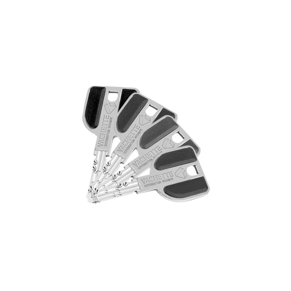 Serrure Vachette 4 points Carénées Exclusive 41NT+